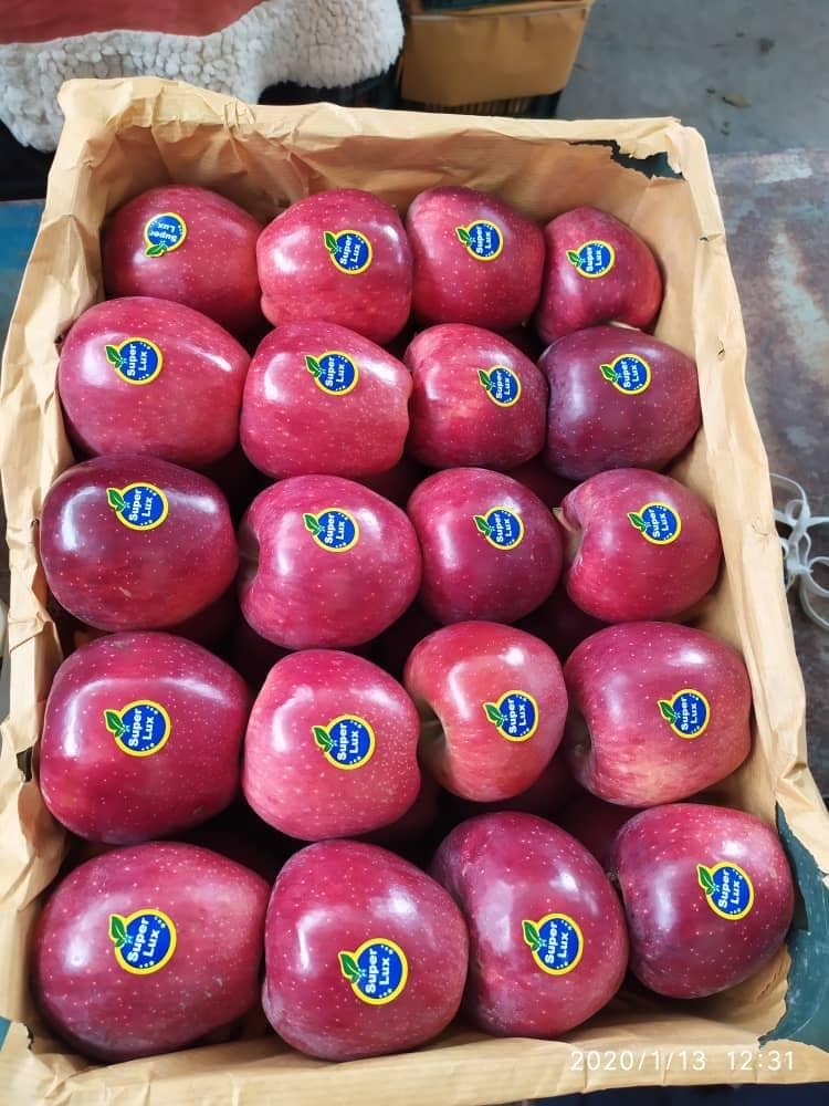 Iran Apple – Iranian Apple Exporter And Supplier