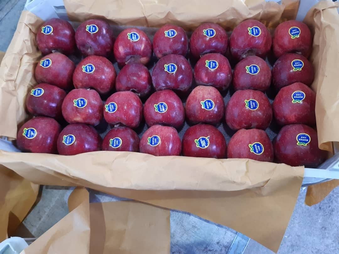 Iran Apple – Iranian Apple Exporter And Supplier